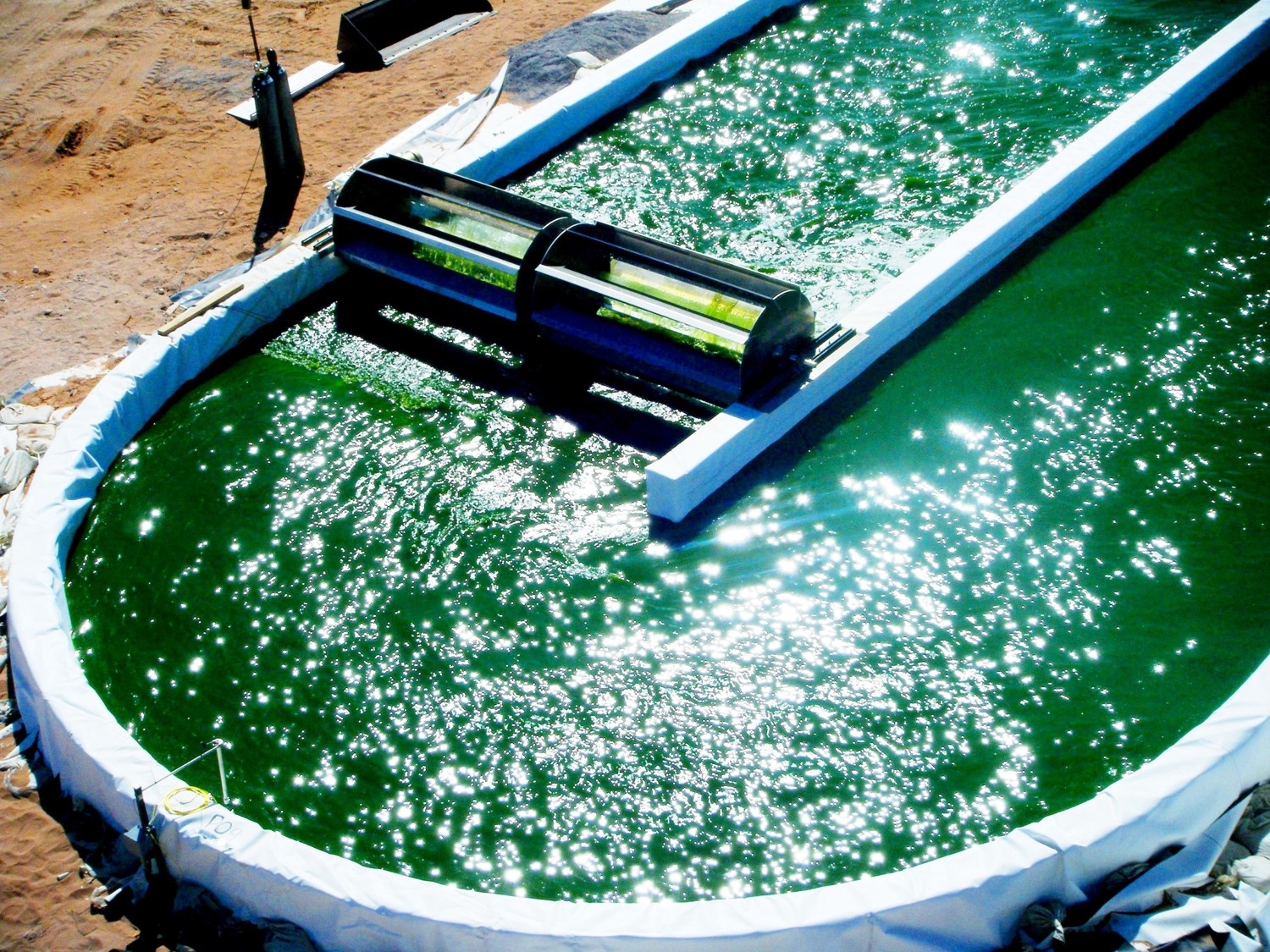 Release Of The 2016 National Algal Biofuels Technology Review Charts Path Forward For Algae